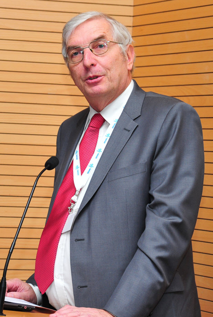 Global Barometer Surveys