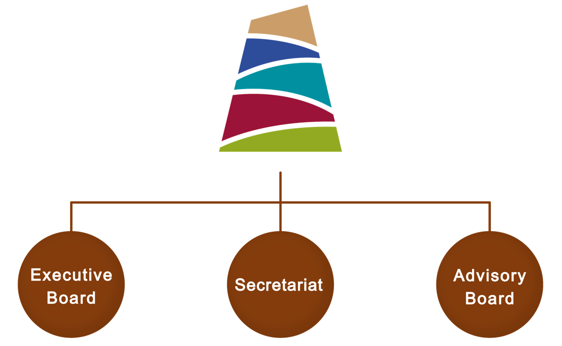 Global Barometer Surveys